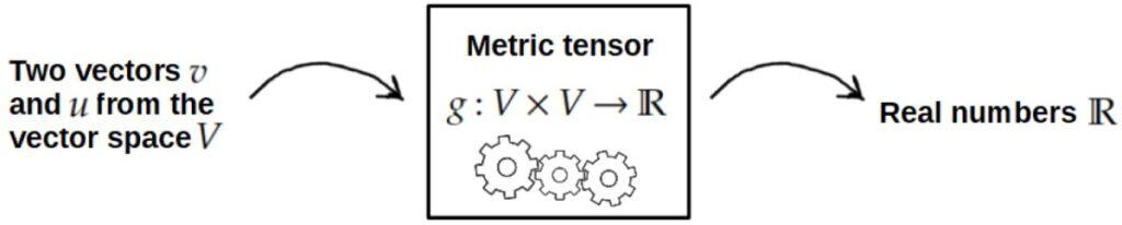 The Metric Tensor: A Complete Guide With Examples – Profound Physics